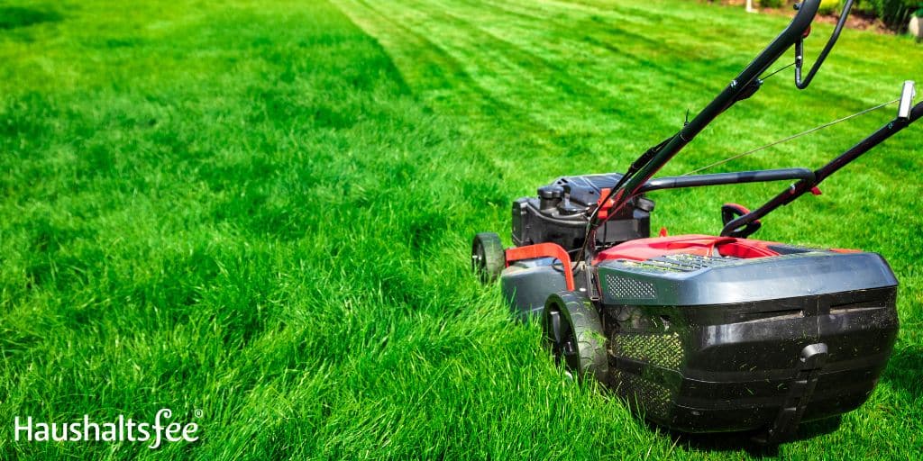 5 Expertentipps für den perfekten Rasen